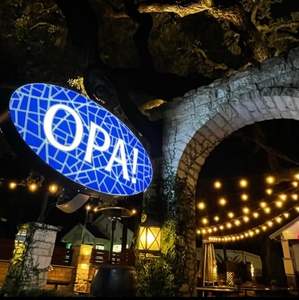 Barista/Bartender at Opa Coffee and Wine Bar in Austin, TX