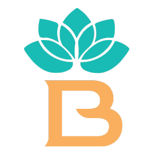 Baba Group Logo