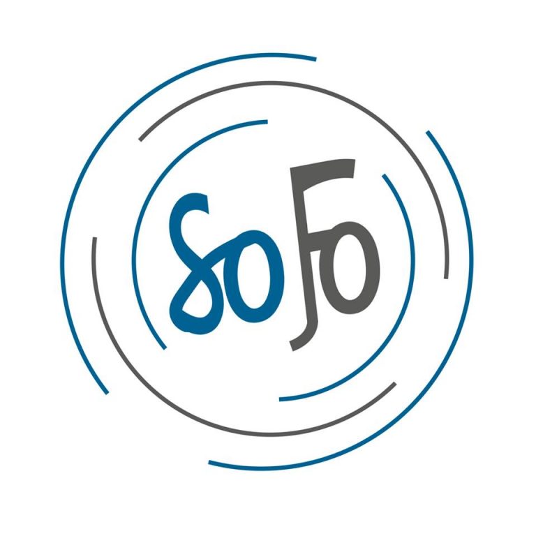 Professional Server at Sofo Modern Cuisine and Cocktails in Suwanee, GA